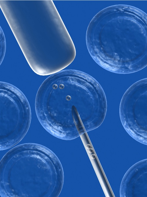 Celulele stem, tratamentele viitorului