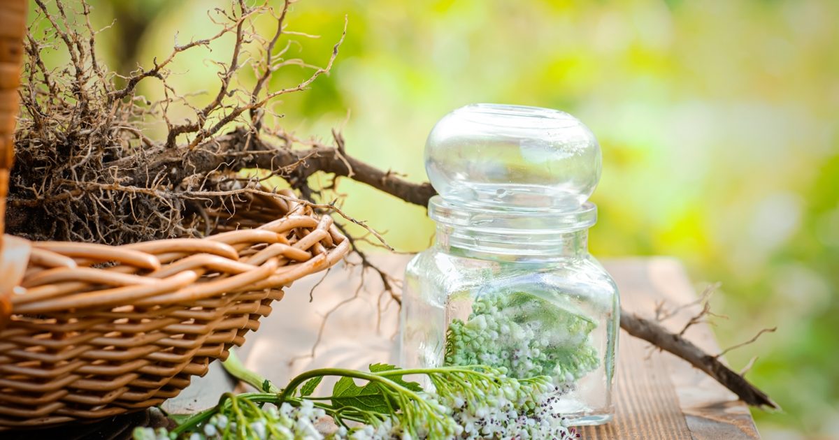 Valeriana sau cel mai bun remediu pentru somnul de frumusețe